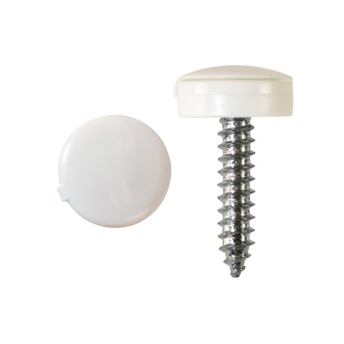 Workshop Warehouse 100 Hinged Cap Number Plate Screws — Morelli Group